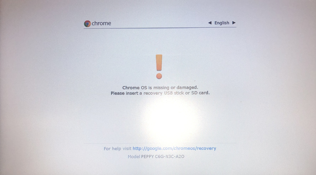 Running IGEL OS on Chromebooks – The IGEL UD Pocket approach (Part I ...